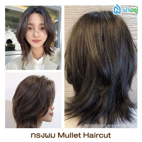 ทริคเลือกทรงผมให้เข้ากับหน้า คนหน้ากลม ทรงผมอะไร 2567 รู้สึกดี มีพลัง