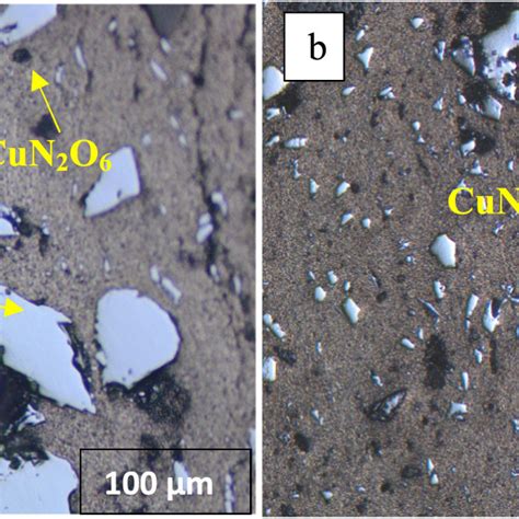 Optical Microstructure Of A Aa6063 12 Si3n4 2 Cun2o6 Composite B