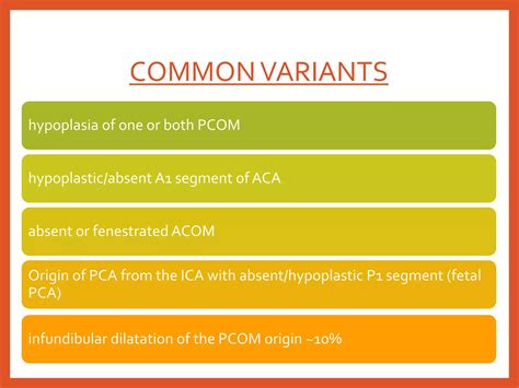 Arterial Anatomy Of Brain Pptx