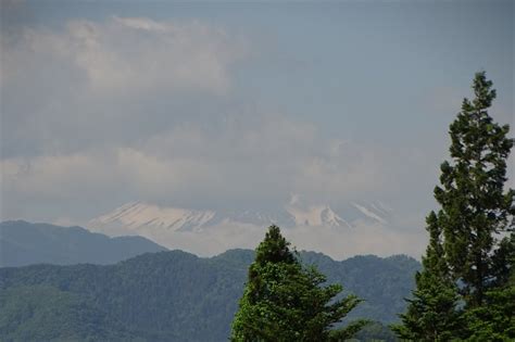 終わる蘭と始まる蘭 こばじぃのブログ