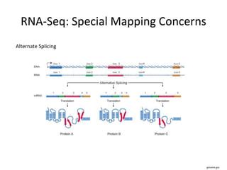 Rnaseq Analysis Pipeline For Differential Expression Pptx