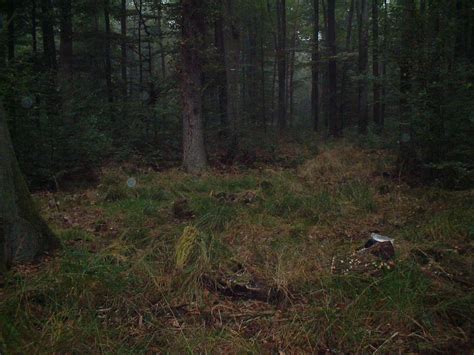 Das Phänomen Der Orbs