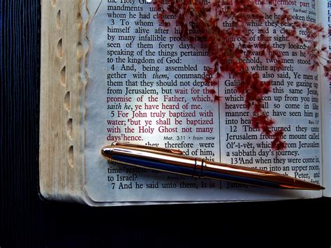 Fotos Gratis Hombre Libro Gente Madera Mujer Niño Recreación Religión Biblia Sentar