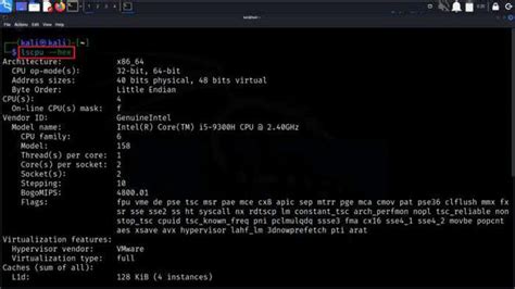 How To Use Linux Lscpu Command Geeksforgeeks
