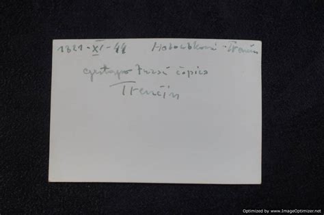 Smgl 24757 Gestapo Sd Portrait Sold War Relics Buyers And Sellers