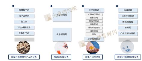 《化学制药行业研究报告》市场规模制剂