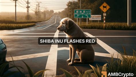 Shiba Inu Key Indicator Shows Concerning Signs What Now Ambcrypto