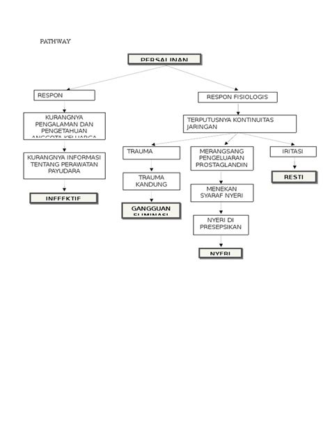 Pathway Persalinan Normal Pdf