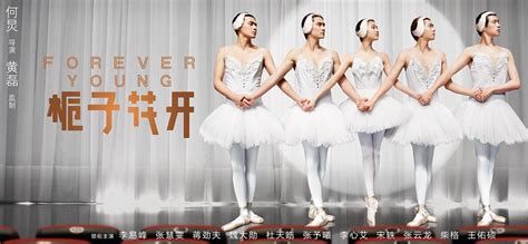 栀子花开 何炅执导的电影 360百科
