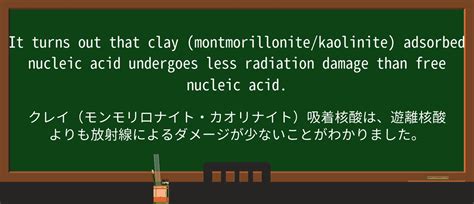 【英単語】adsorbを徹底解説！意味、使い方、例文、読み方