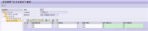 sap sd 配置销售订单编码按规则增加前缀 sap销售订单编码范围分配 csdn博客