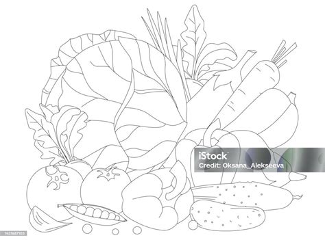 신선한 야채의 개요 그룹 가지 토마토 무 후추 양배추 당근 및 오이 색칠 공부 책 가을에 대한 스톡 벡터 아트 및 기타 이미지