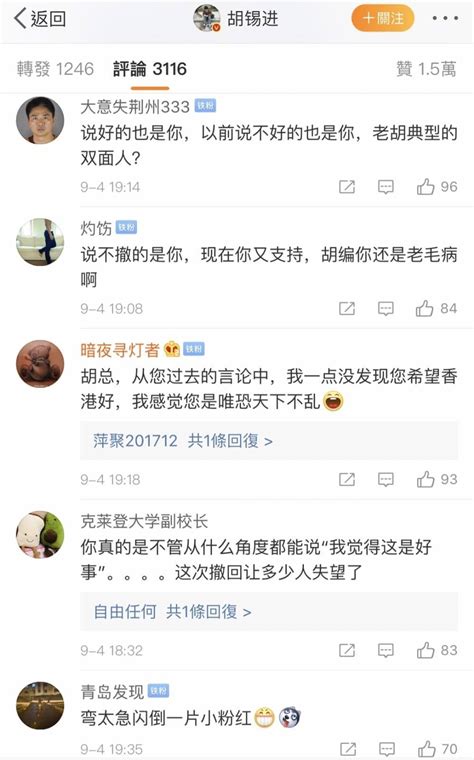 打工的自我修養環時總編胡錫進打倒昨日的我贊成林鄭撤回逃犯條例修訂