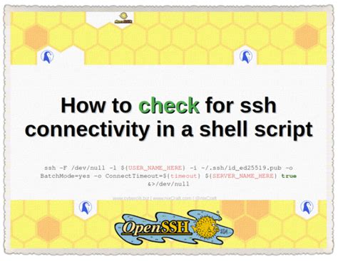 Cómo Comprobar La Conexión Ssh En El Script De Shell Muylinux