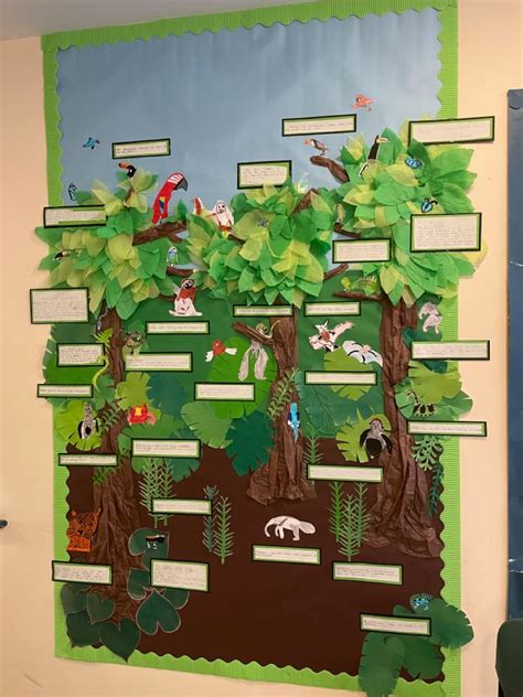 My Rainforest Display At School