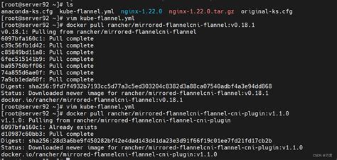 K8s部署docker Flannel Cni Plugintar Csdn博客