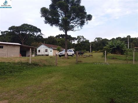 Chácara para Venda em Centro Agudos do Sul PR Ref 299