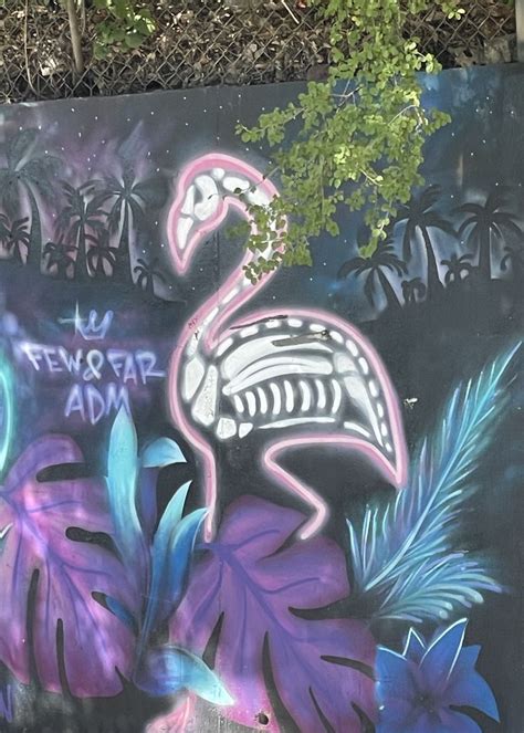 Flamingo Skeleton Graffiti Instagram Photo Graffiti Photo And Video