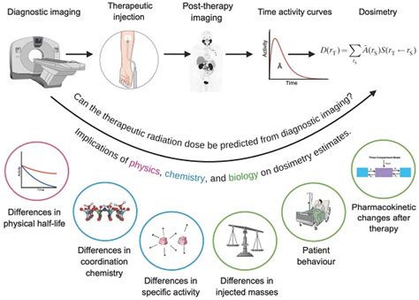 Implications Of Physics Chemistry And Biology For Dosimetry