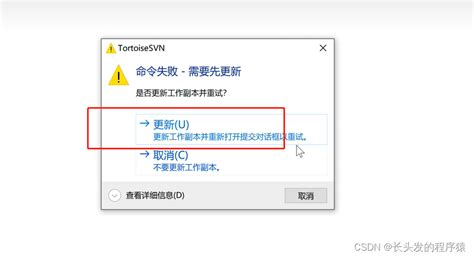【图文详解】入职必备——svn使用教程 Csdn博客