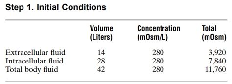 Volume And Osmolality Of Extracellular And Intracellular Fluids In