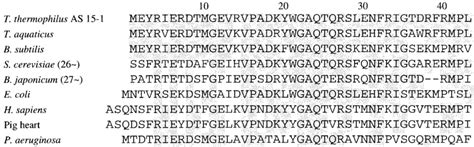 Comparison Of The N Terminal Amino Acid Sequence Of As 15 1 Fumarase Download Scientific
