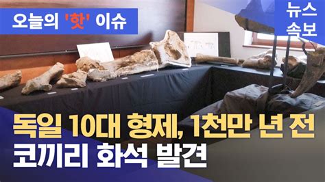 충격] 독일에서 1천만년전 코끼리 화석 발견 Youtube