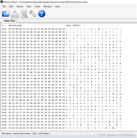 Binary Viewer安装使用 Csdn博客