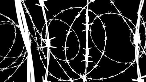 Free Babred Wire Stock Video Footage 0 Download