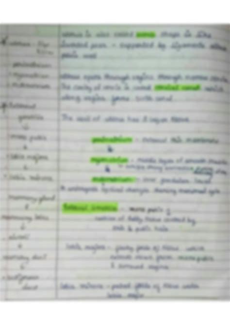 Solution Human Reproductive System Studypool