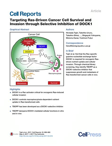 Pdf Targeting Ras Driven Cancer Cell Survival And Invasion Through