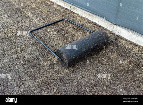Rolling Freshly Sown Grass Seeds With A Metal Roller Filled With Water
