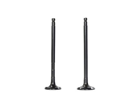 Engine Valve Mi01 Tranzac