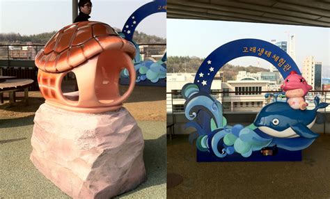 거북이 조형물 조형물 포토존 Frp조형물 스티로폼조각 캐릭터제작 Grc 대구조형물 우레아코팅