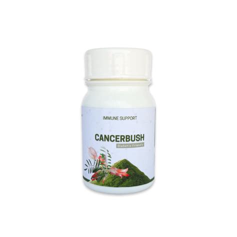 Cancerbush 60 Capsules Shop Today Get It Tomorrow