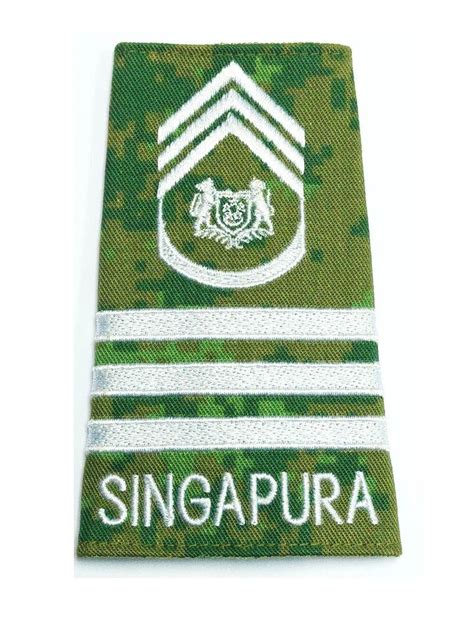 No 4 Cadet Pro Term Appointment Ranks Army 1517 3b Soldiertalk