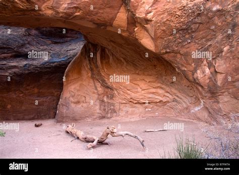 Navajo Arch Along The Devils Garden Trail In Arches National Park Utah