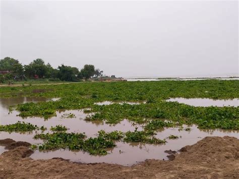 Ganges Waves Crossed Danger Level In Ballia बलिया में गंगा की लहरों