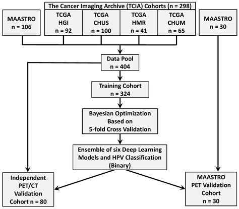 Multi Modal Ensemble Deep Learning In Head And Neck Cancer Hpv Sub Typing