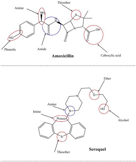 solved homework circle and name all the functional groups in the