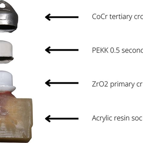 Three Element System Components Download Scientific Diagram