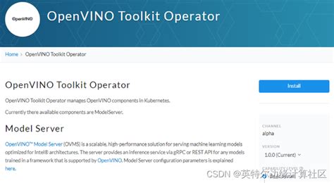使用 openvino™和 kubernetes 部署 ai 推理产品 openvino集群 csdn博客