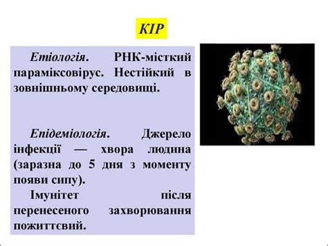 Інфекційні хвороби з ураженням верхніх дихальних шляхів Online