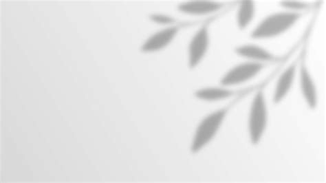 Дизайн эффекта прозрачной тени листьев Премиум вектор