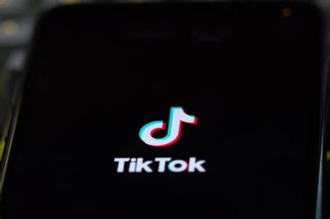 The Tiktok Okokok Lalala Quiz Explained Stagbite