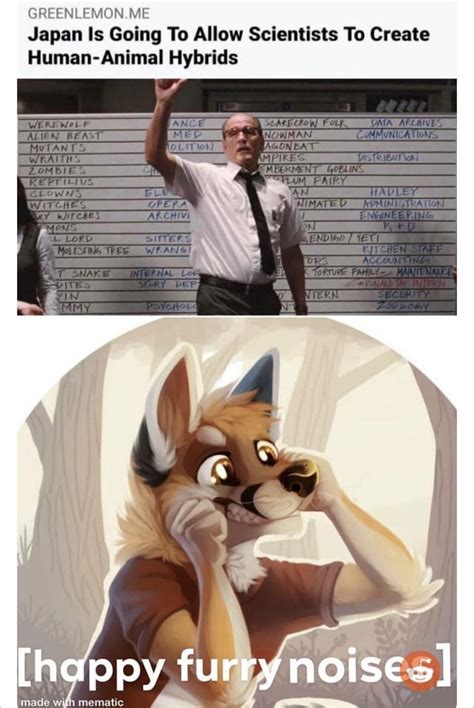 Furryirl Rfurryirl
