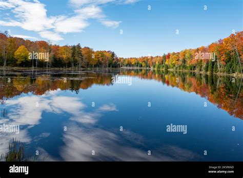 A Pond In The Adirondack Mountains Ny Usa With Colorful Autumn Fall