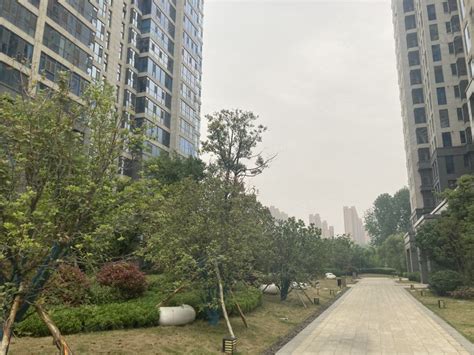 漯河西外滩 漯河东外滩 第12页 大山谷图库