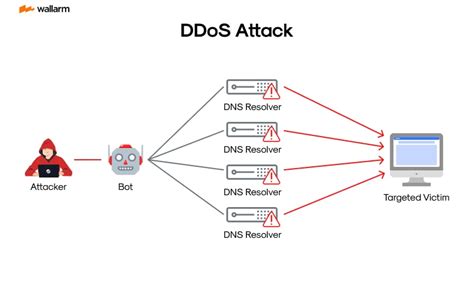 How To Jamm Victim39s Internet Wifi Ddos Attack Using Ip Dos Attack On