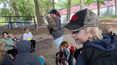 About A Owl Type Youtube